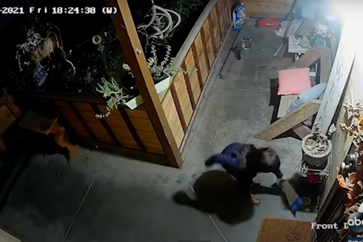 Video: Young Child Porch Pirate Caught on Camera Following Instructions ... Video: Young Child Porch Pirate Caught on Camera Following Instructions ...